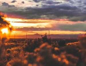 Careers - TriCore Reference Laboratories